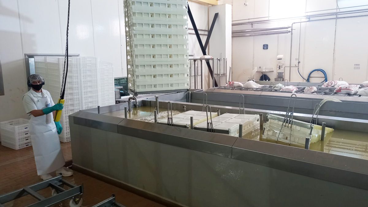 Industria láctea entrerriana robotizó procesos con financiamiento de BICE