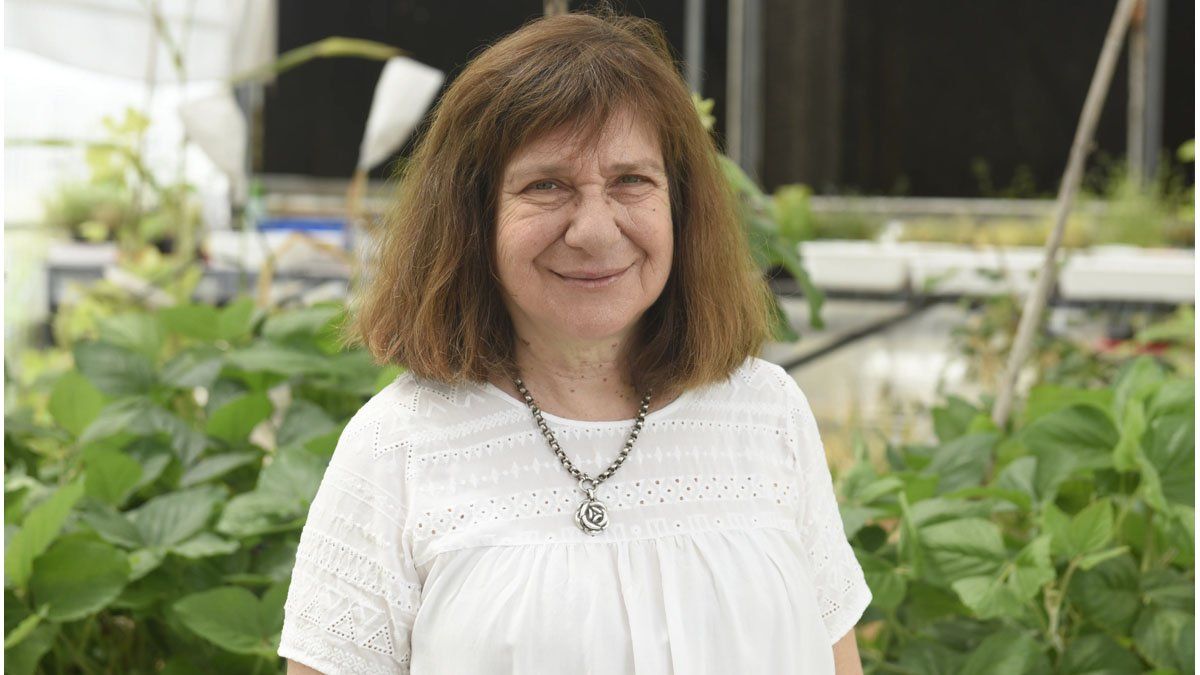 De Santa Fe al mundo: Raquel Chan, la historia de una de las ...