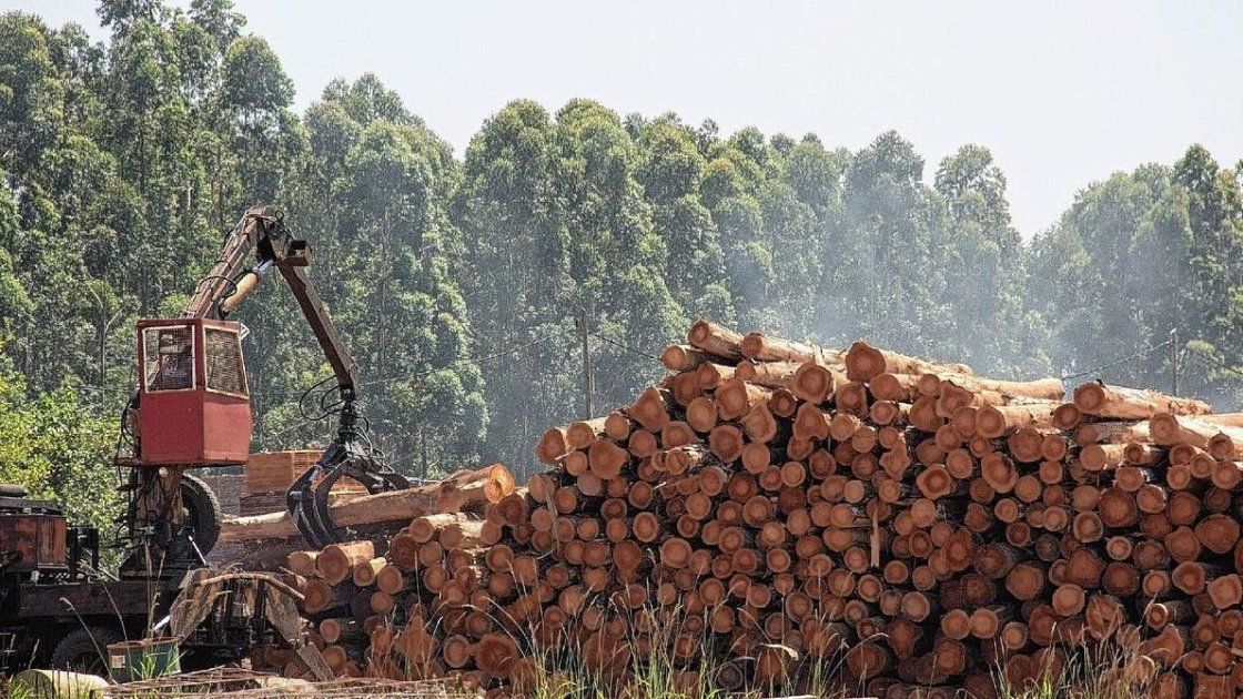 Concordia Produce 2025. Últimas noticias de Concordia Produce 2025 ...