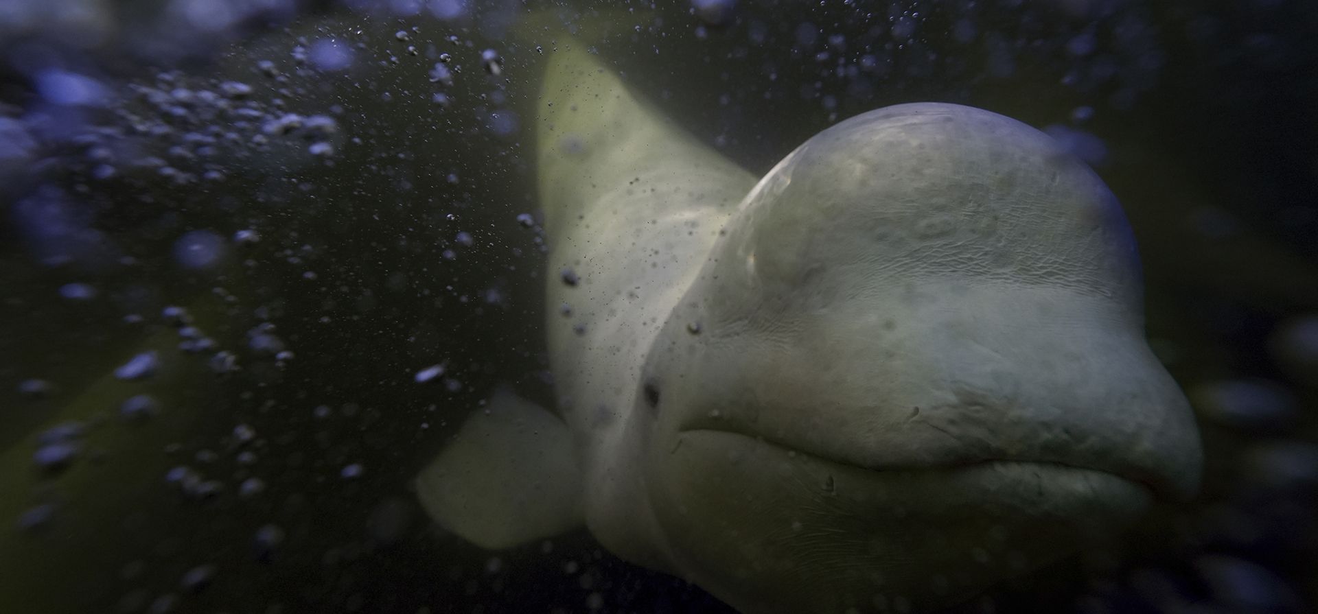 El día en imágenes alrededor del mundo