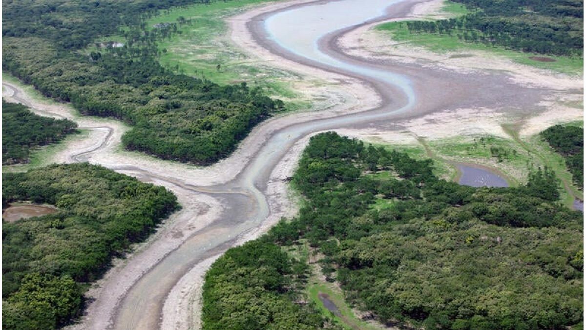 El río Amazonas se está secando y advierten sobre el cambio climático