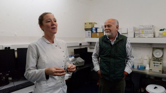 El estudio sobre Covid que disipó fantasmas en torno a las vacunas