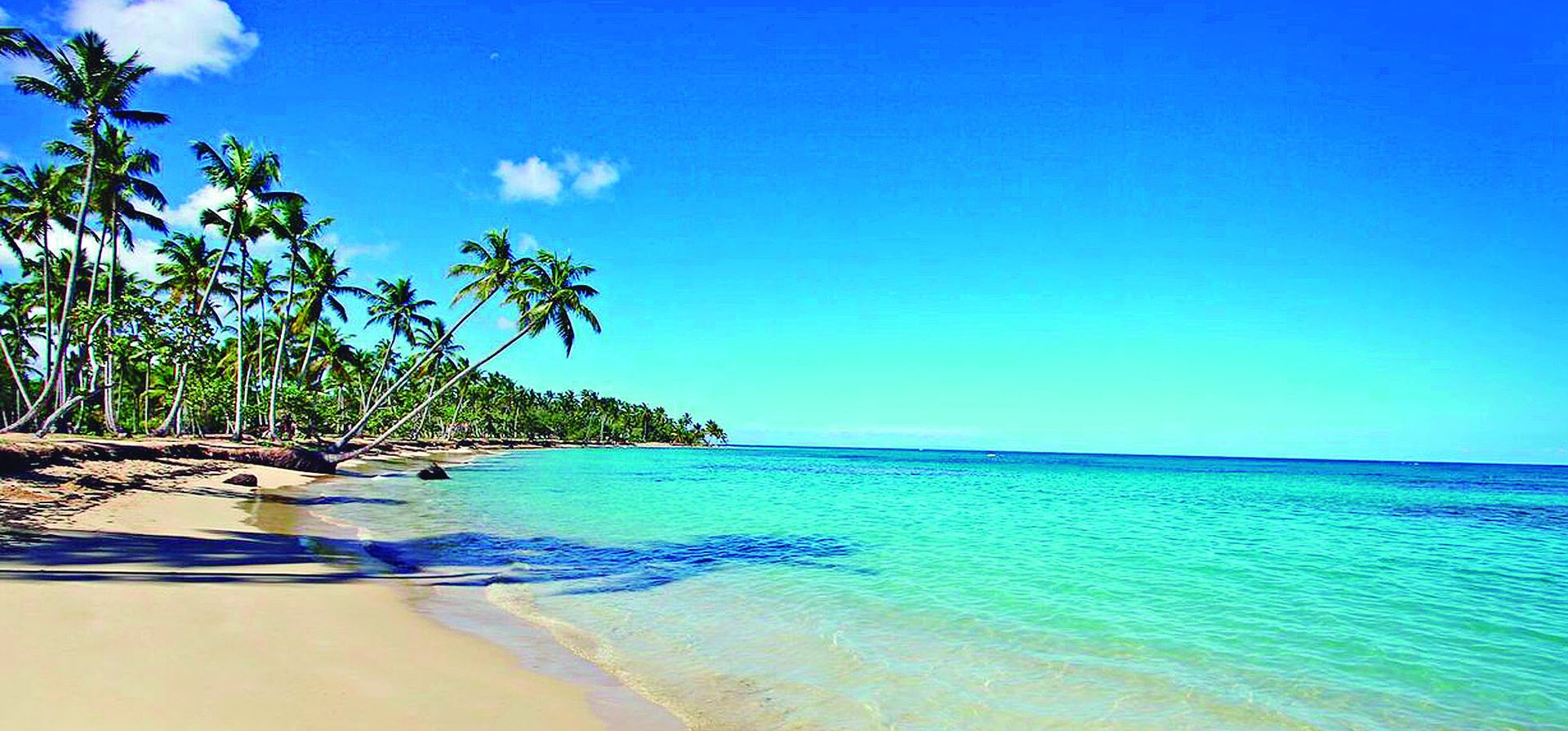 Samaná, el destino más completo de República Dominicana