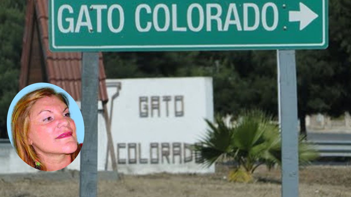Va a juicio la expresidenta comunal de Gato Colorado por malversación ...
