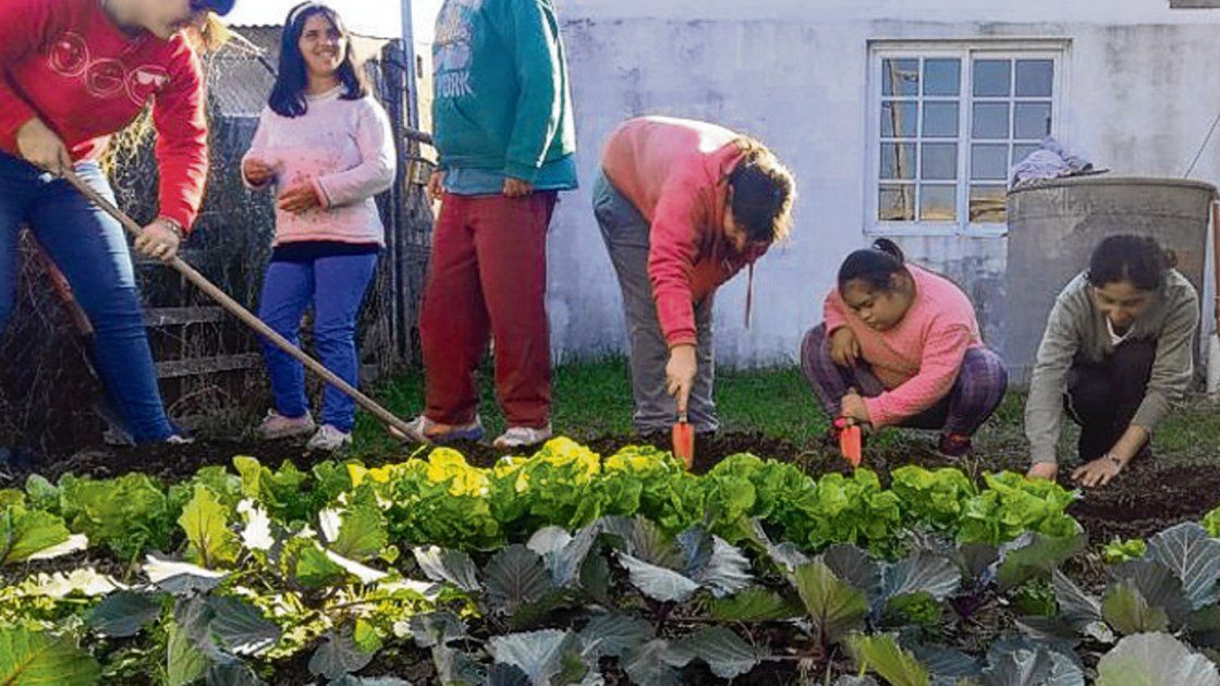 La UNR creó un programa de huertas comunitarias