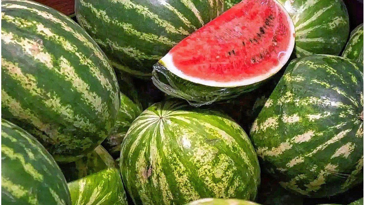 Comer sandía trae numerosos beneficios al organismo