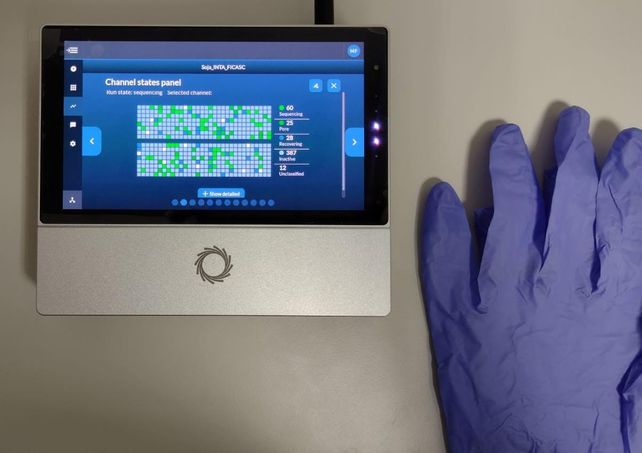 El Inta logró describir el genoma completo de una variedad de soja no OGM