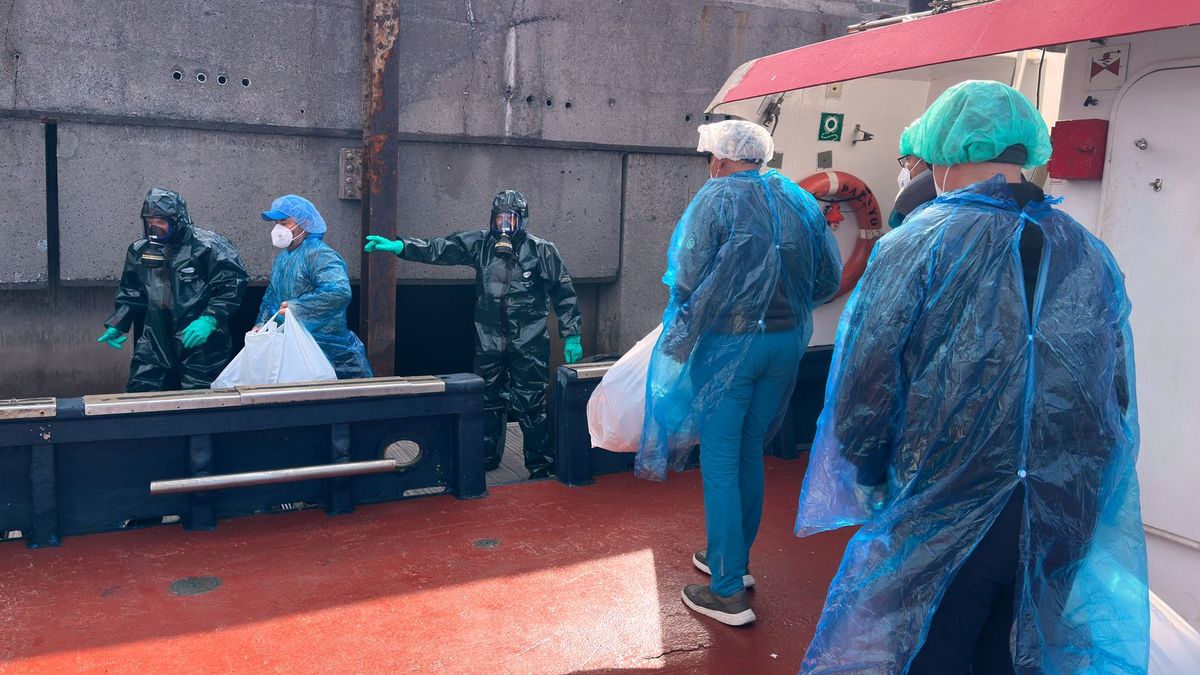 Hantavirus: cuál fue el peor brote en Santa Fe y qué esperar después ...