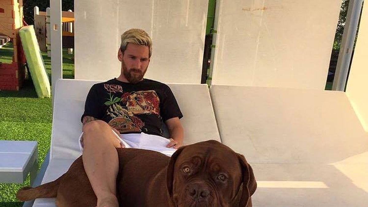 Messi es un perro