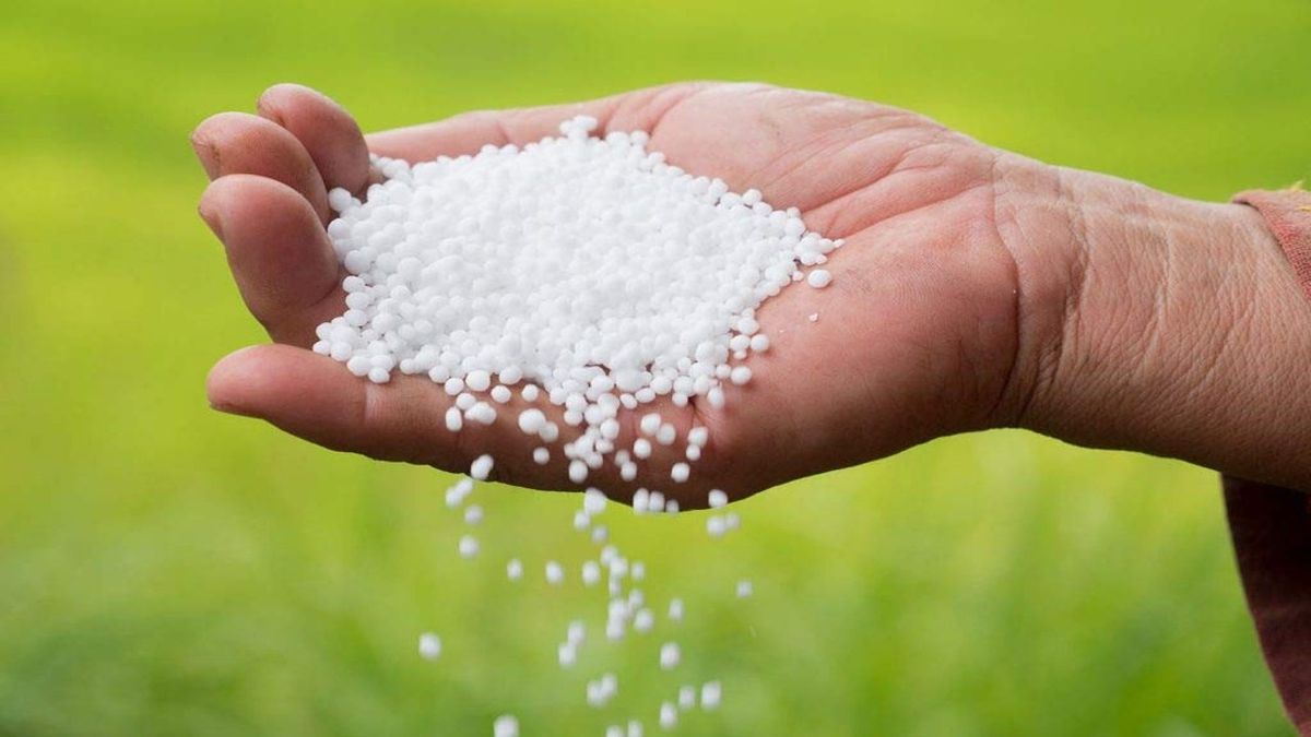 Aumenta la tensión para importar urea, el fertilizante más utilizado en ...
