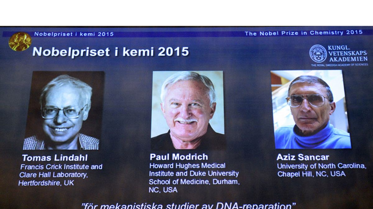 El Nobel de Química es para tres científicos por sus estudios para la reparación del ADN