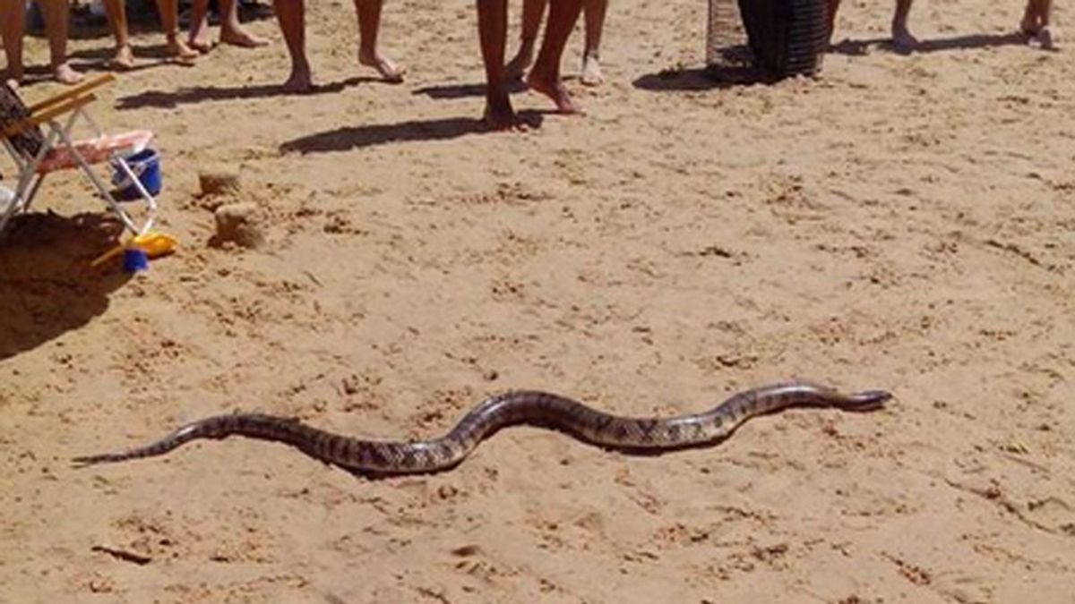 Alerta en los balnearios de la costa rosarina ante la llegada de ...