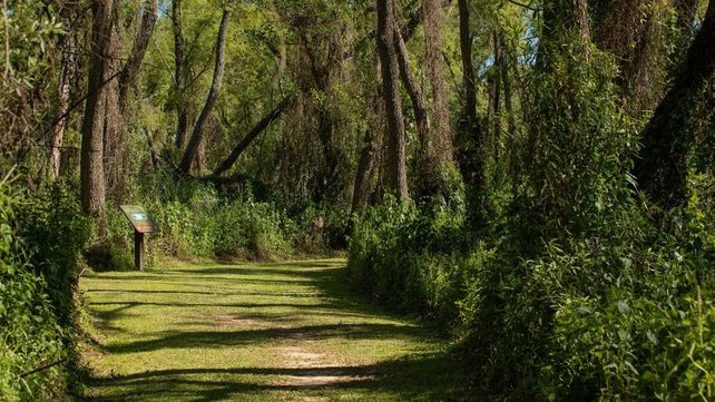 Turismo en las Lomadas entrerrianas y ruta del Delta