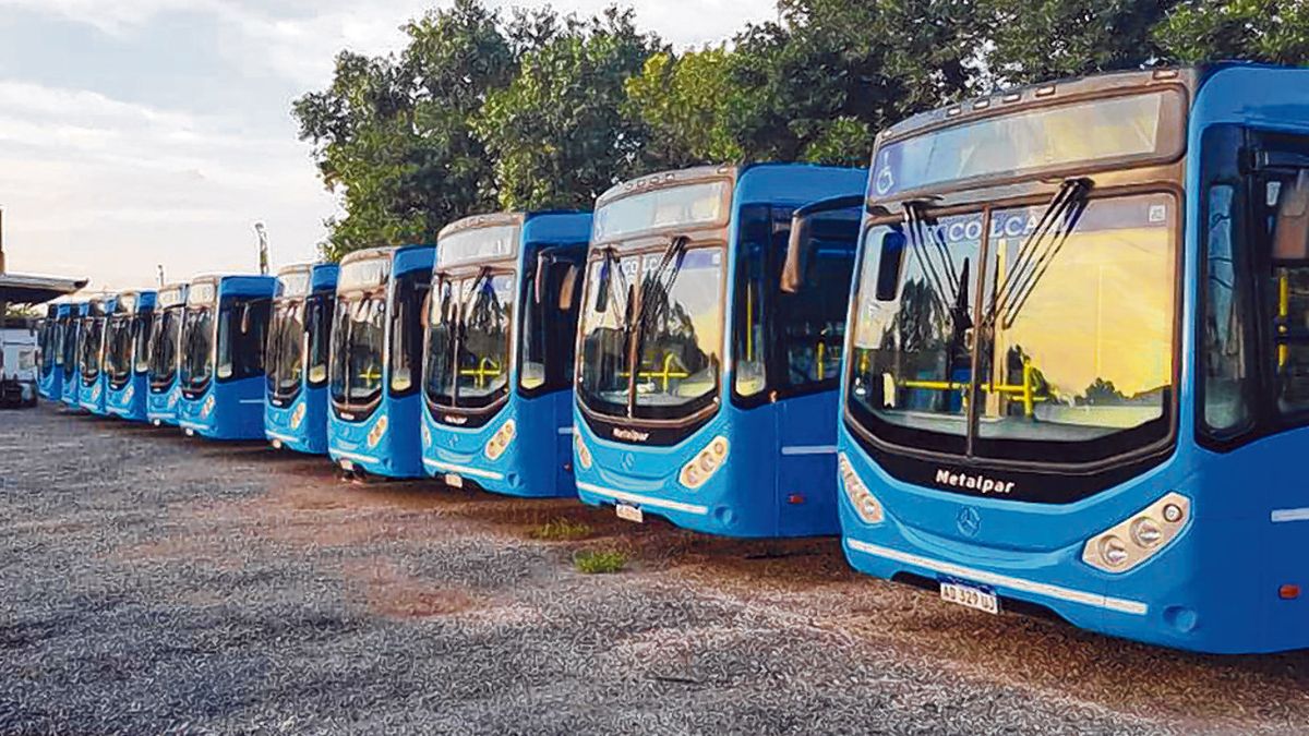 Suman más de 120 colectivos al sistema para mejorar las frecuencias