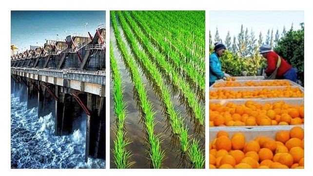 Este domingo Diario UNO presenta Salto Grande produce