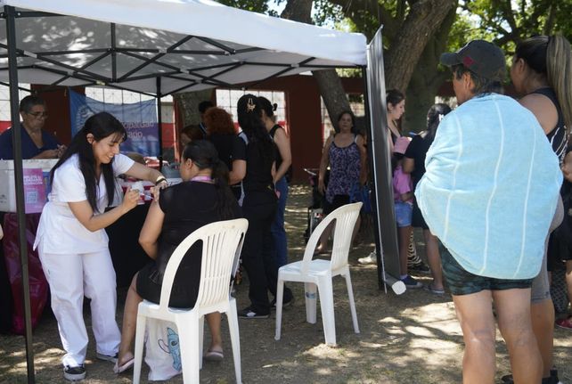 Colocan unas 600 dosis de vacunas por día en las piletas y ...