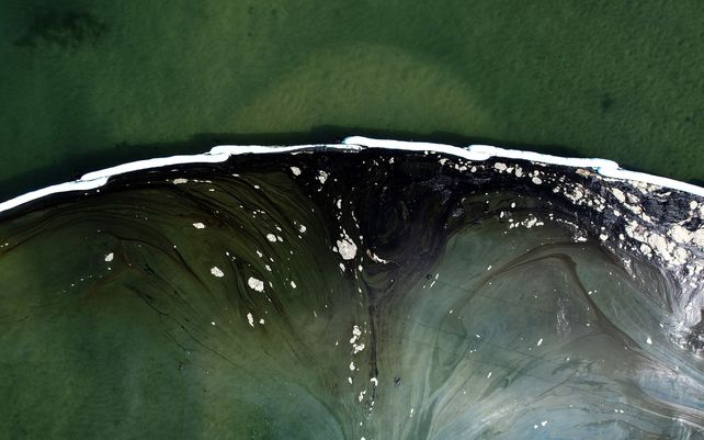 Una marea negra de petróleo afecta a las playas del sur de California
