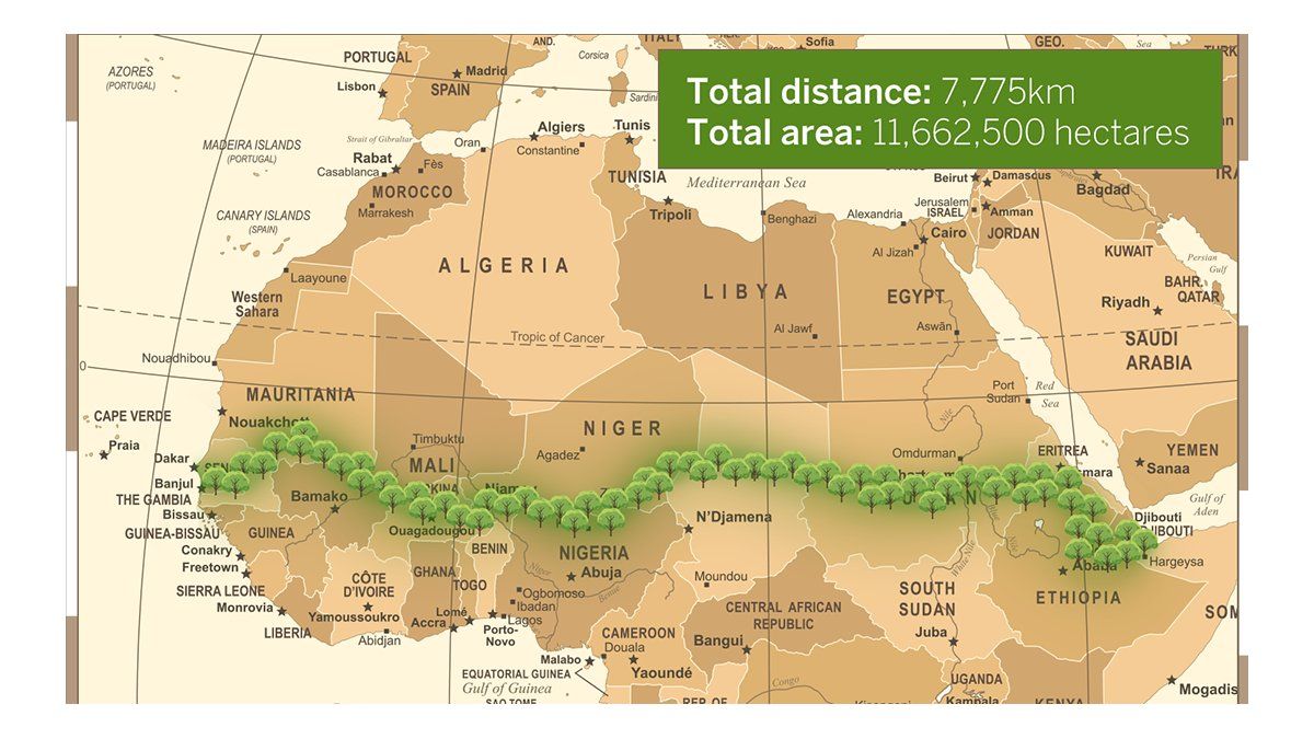 La Gran Muralla Verde del Sahara y el Sahel: un punto de partida para ...