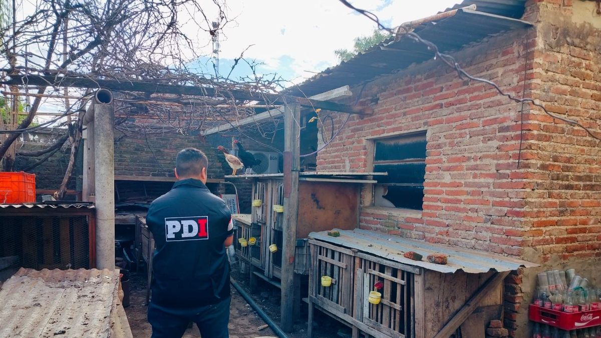 Golpe al microtráfico en Bº Villa Hipódromo: cocaína, millones de pesos ...