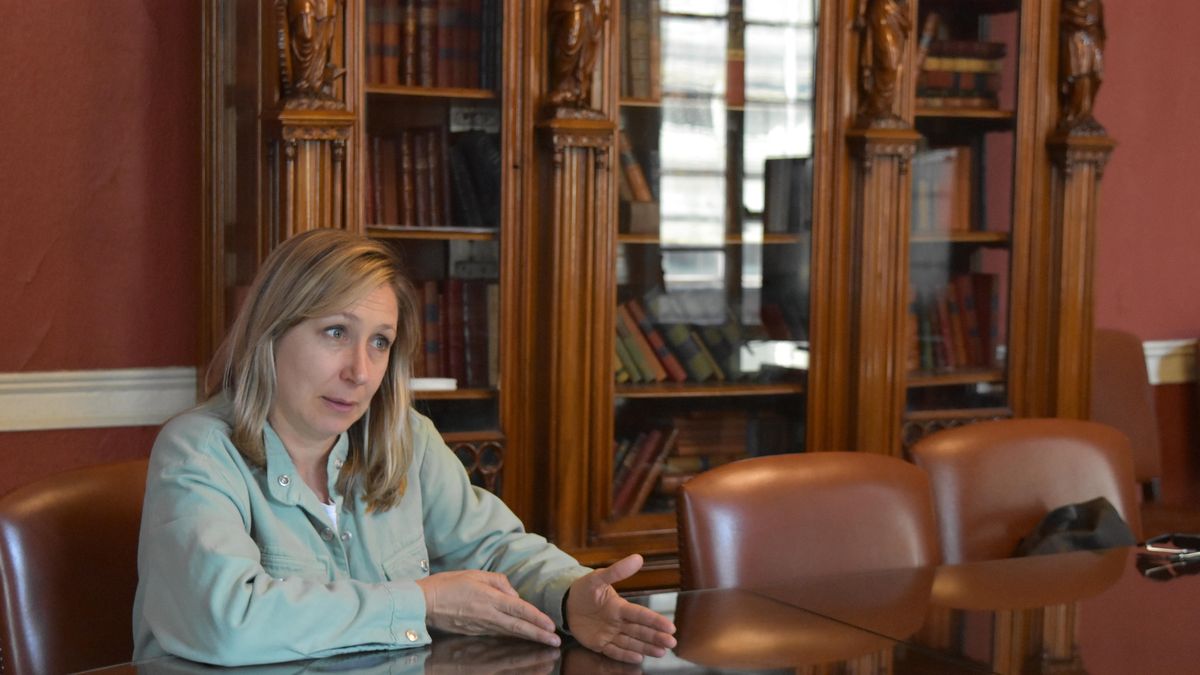 Myriam Bregman: El gobierno hace un ajuste histórico pero la derecha ...