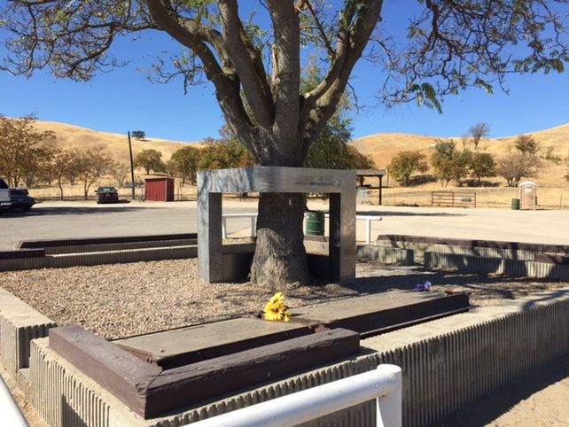 Rebelde sin causa: la corta vida del icónico James Dean