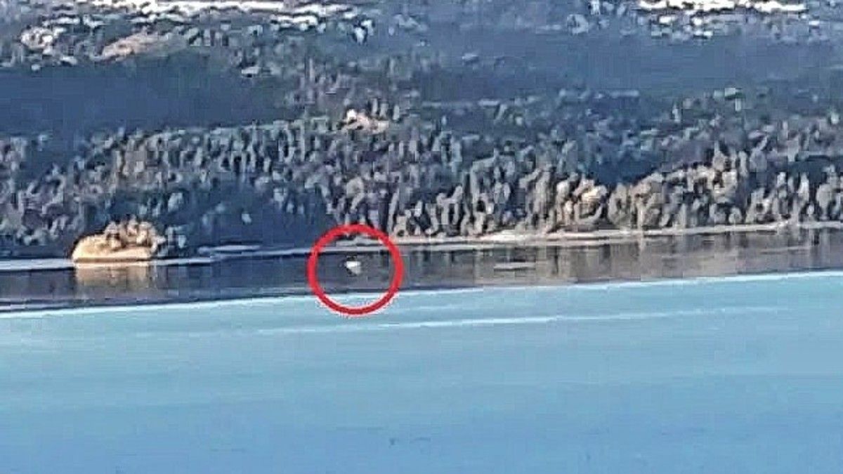 ¿Reaparició Nahuelito? misteriosa silueta en el Lago Nahuel Huapi
