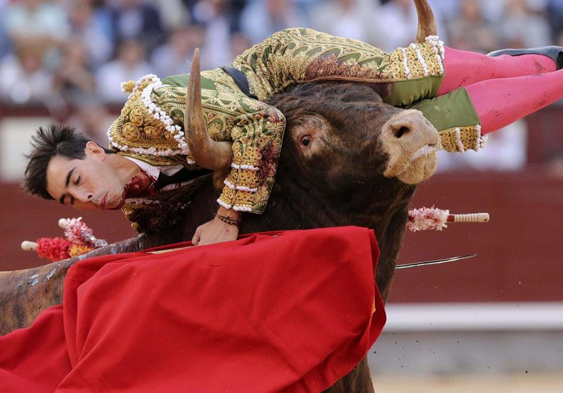 Escalofriantes imágenes de un torero que fue embestido y corneado por ...