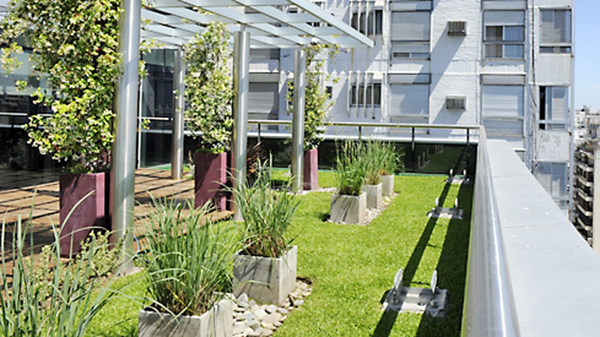 Crece la tendencia de armar jardines en las terrazas de casas y edificios