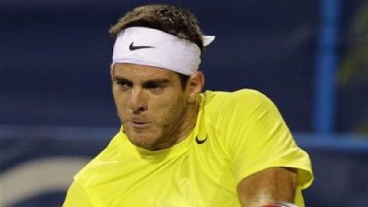Del Potro le ganó a Isner y se quedó con el título del ATP de Washington