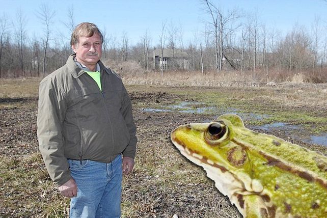 Increíble: le pagan por tenerle miedo a las ranas