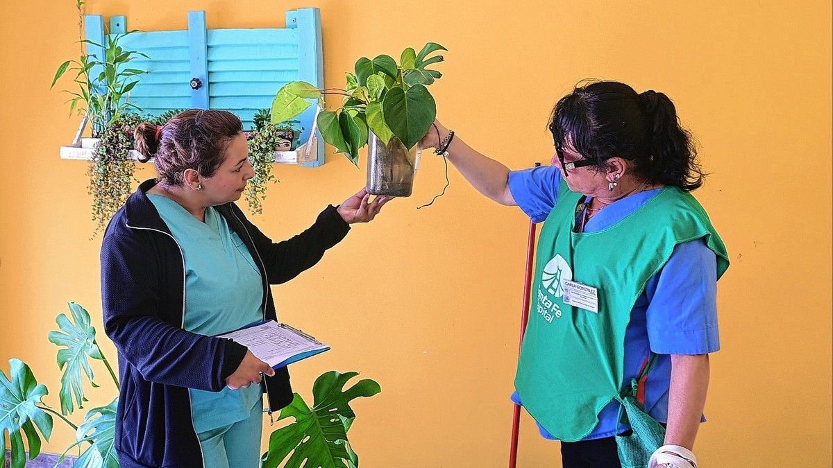En 23 de 35 barrios de Santa Fe donde hay ovitrampas se detectó la ...