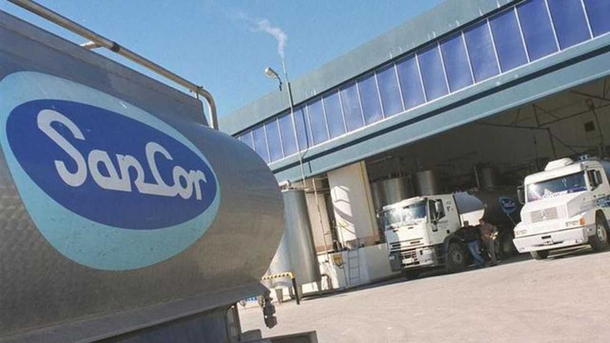 Quiebra de SanCor: ya hay seis firmas que buscan quedarse con la ...