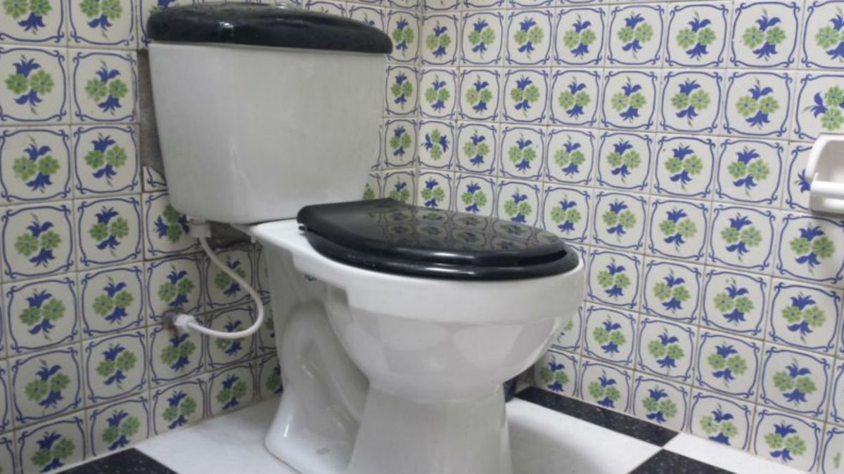 Hoy se celebra el Día mundial del inodoro, un invento al que no acceden ...