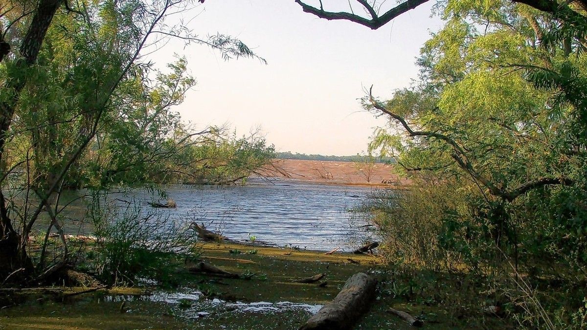 Es ley la ampliación del Parque Nacional Islas de Santa Fe