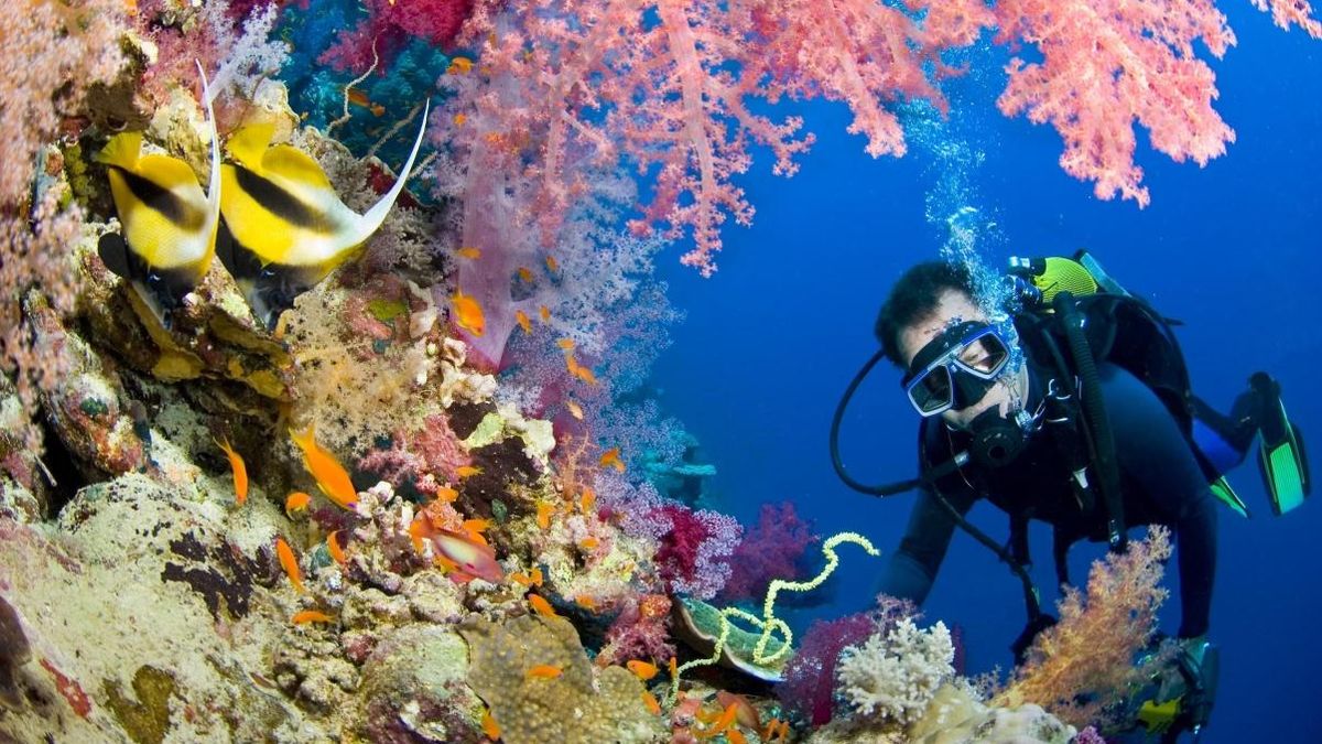 Islas Turcas y Caicos: el paraíso de los famosos