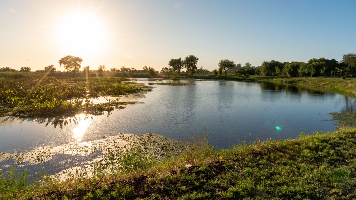 Eco Parque, un paseo natural en San Nicolás