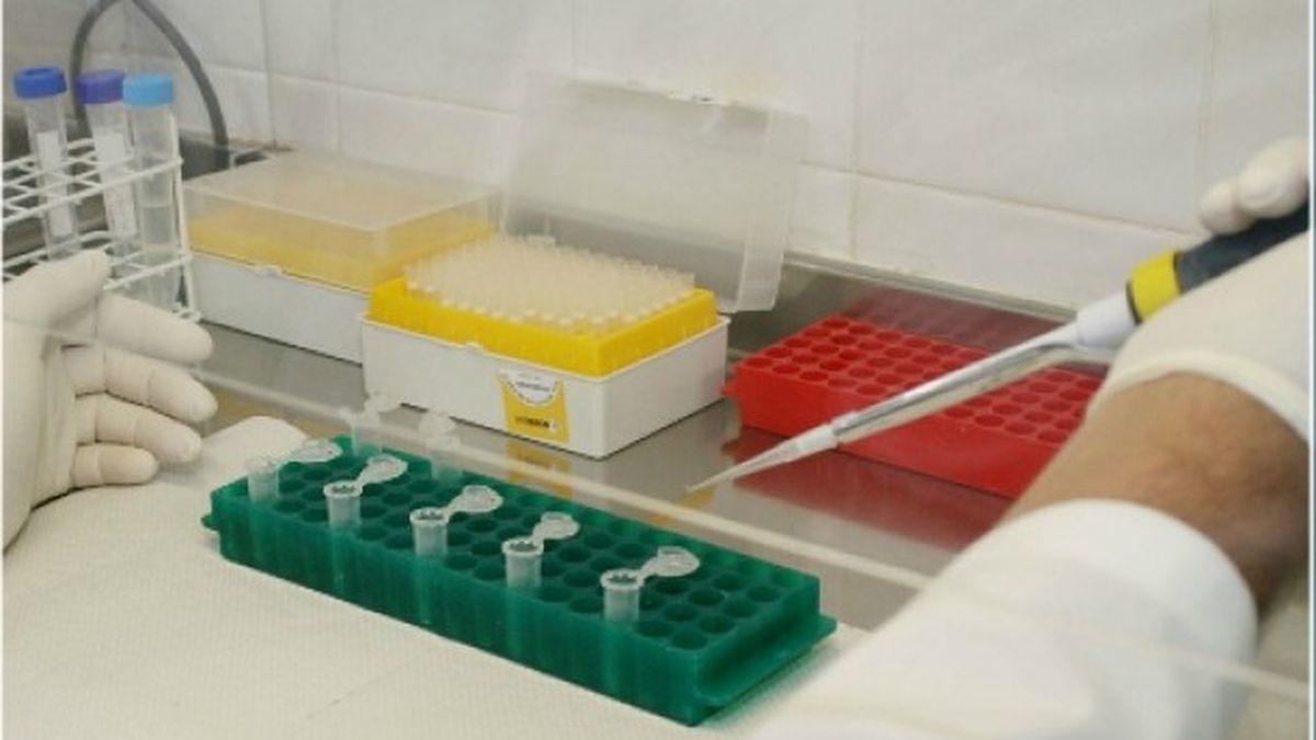 Reglamentaron el Registro Provincial de Datos Genéticos