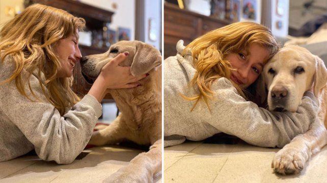 La increíble historia del perro que volvió a su casa tras cinco años de ...