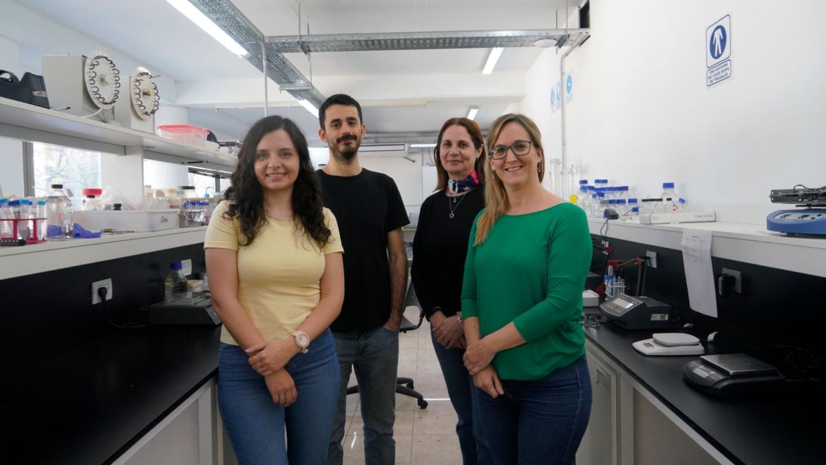 La startup rosarina Mycorium Biotech sale a buscar nuevas inversiones