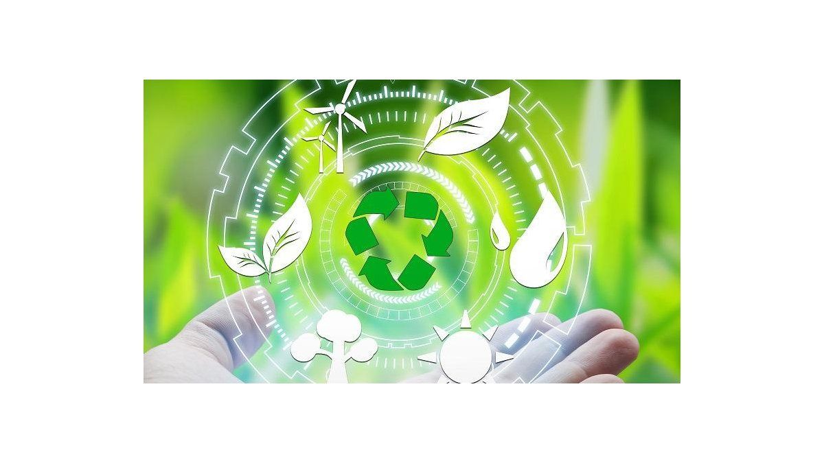 Negocios Verdes: oportunidad empresarial hacia una mayor sustentabilidad