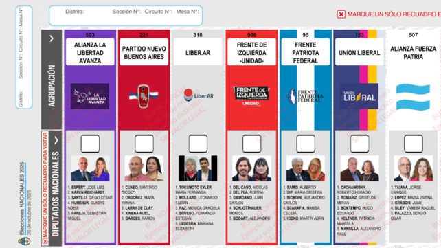 Elecciones: rechazan reimprimir las boletas en Buenos Aires y se mantiene la cara de Espert