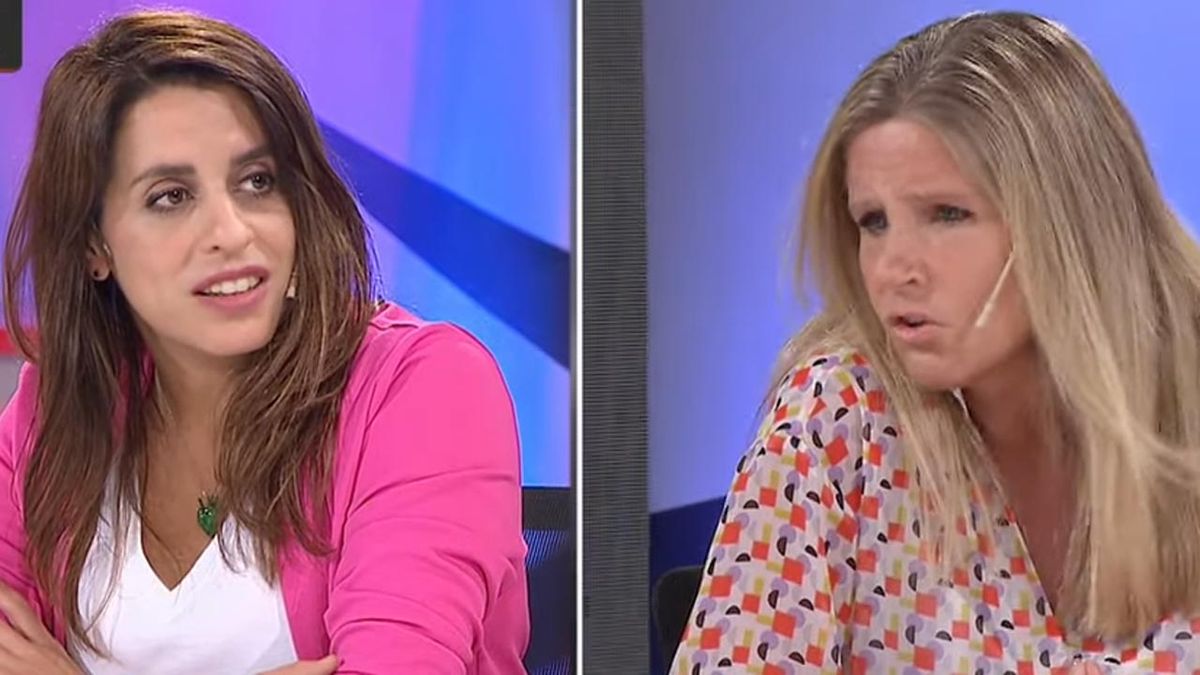Aborto legal: la exdiputada Hotton le pidió en vivo la renuncia a ...