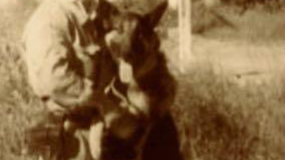 La historia de Chonino, el can que inspiró el Día Nacional del Perro
