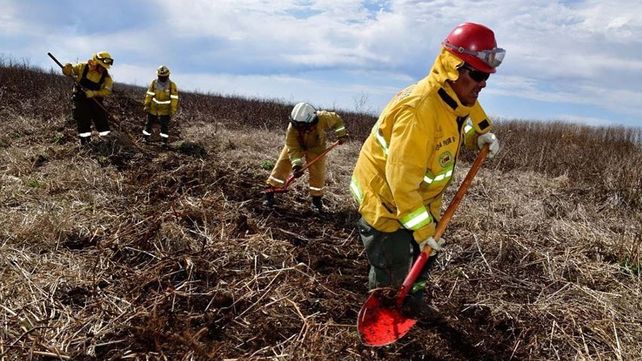 SNMF: hay incendios activos en la zona de Victoria
