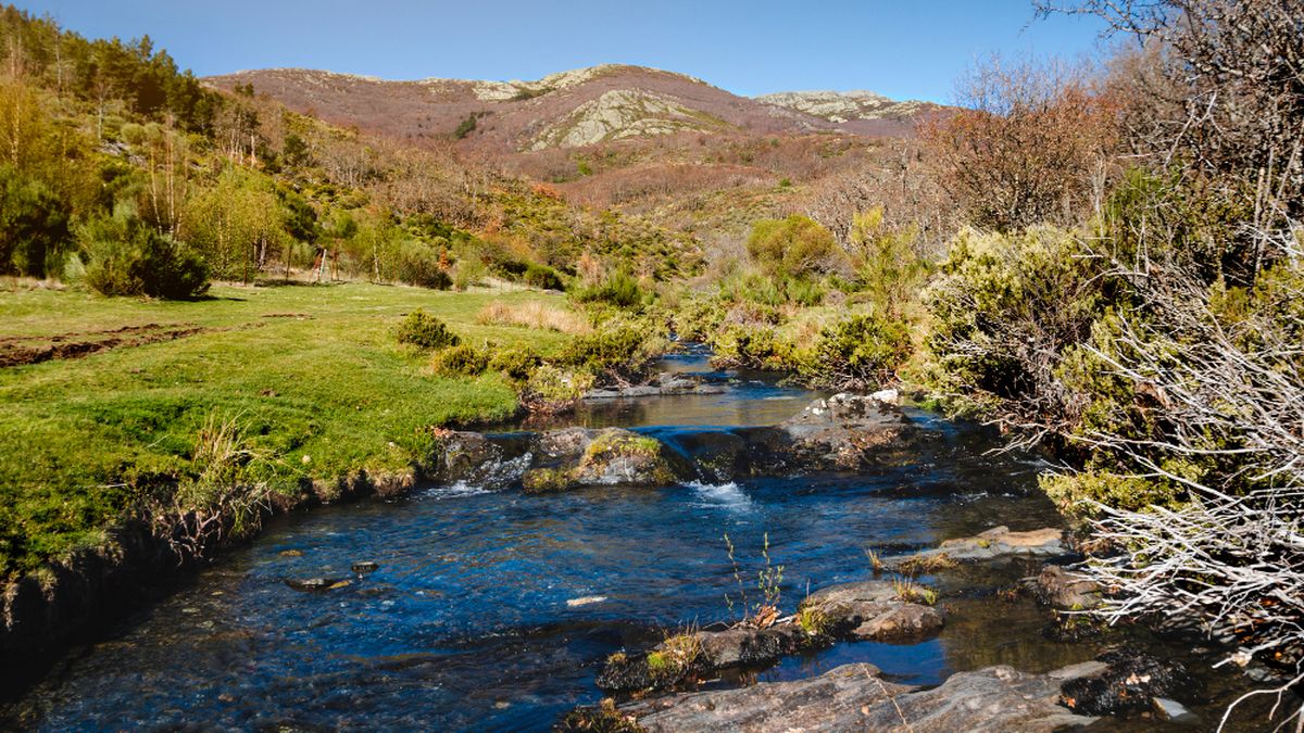 Descubre los mejores Parques Nacionales del sur de nuestro país