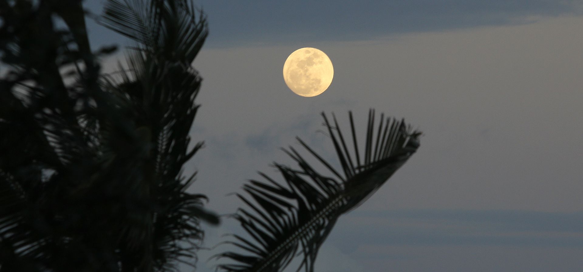 Superluna de Esturión, las imágenes que dejó el fenómeno cósmico