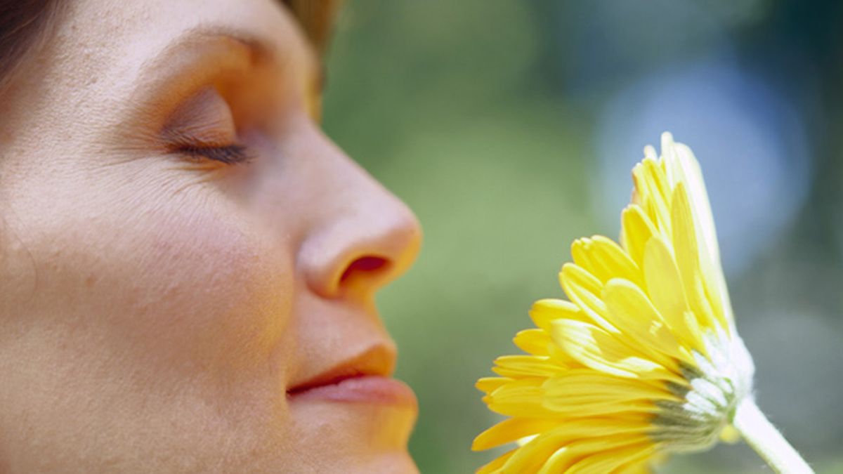 ¿Cuáles son los 10 olores básicos que reconoce el olfato?