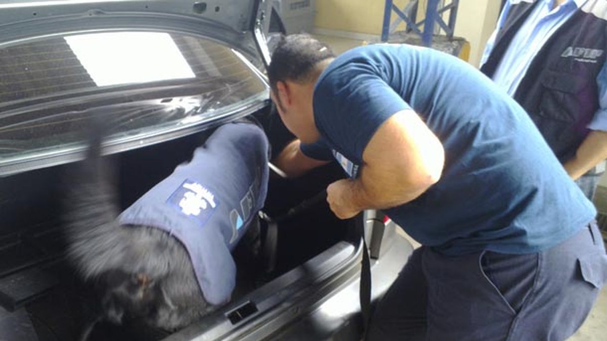 Isidoro y Bruno detectaron 20.000 dólares ocultos en el interior de un ...