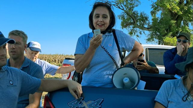 Spiroplasma, la bacteria enemiga del maíz