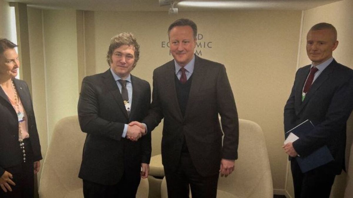 El presidente Javier Milei se reunió en Davos con el canciller ...